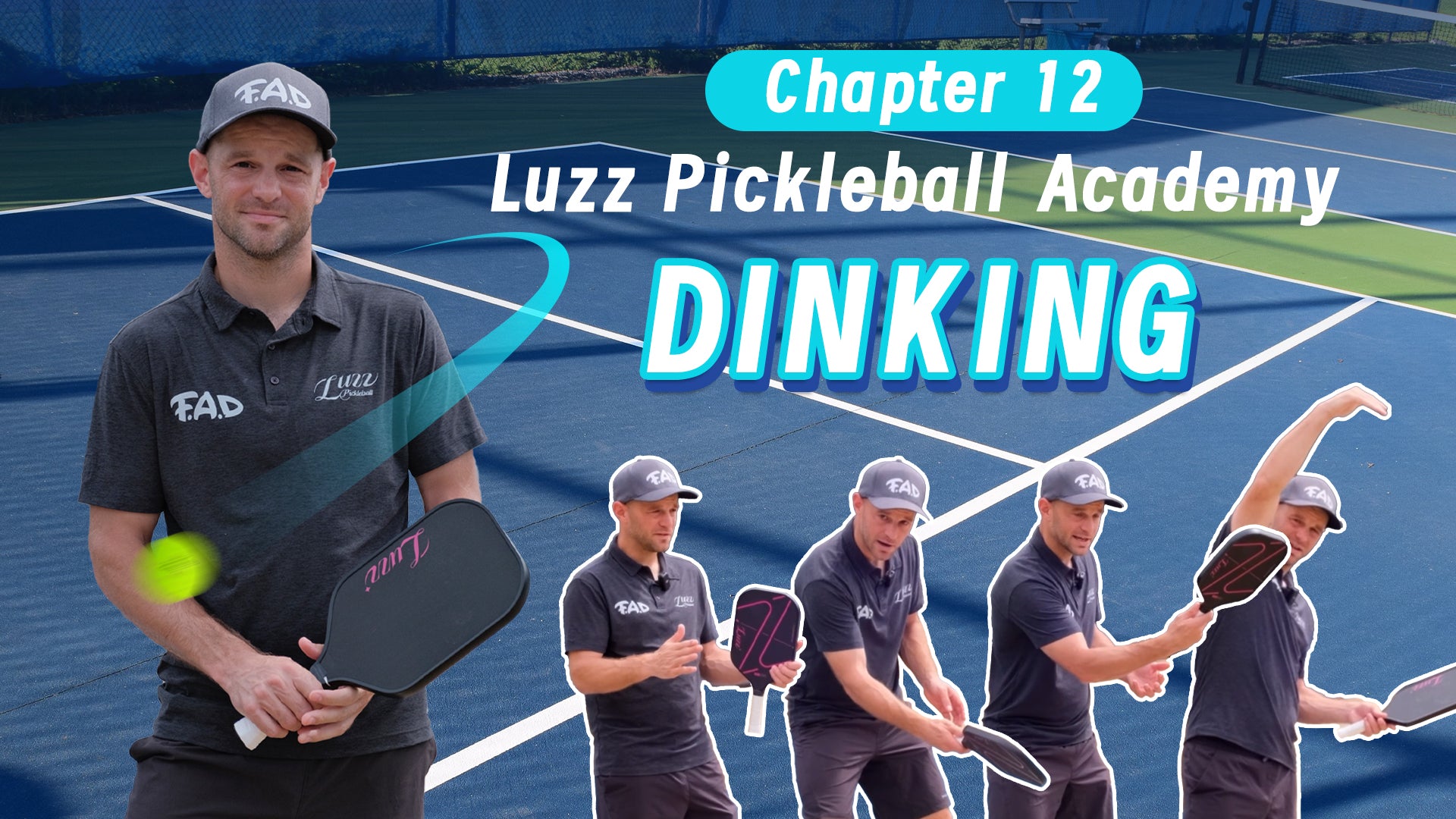 Chapter 12-Luzz Pickleball Academy｜Dinking – Luzzpickleball